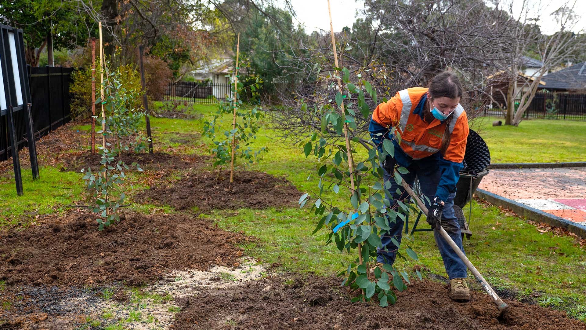Tree Planting Program Victoria s Big Build