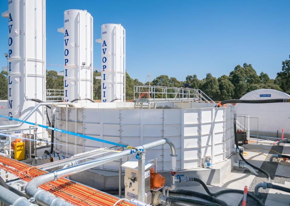 Clay plants - Victoria’s Big Build